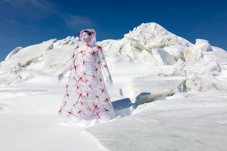 Collection Showcase: Meryl McMaster - Art Gallery of Hamilton