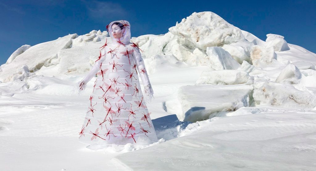 Collection Showcase: Meryl McMaster - Art Gallery of Hamilton