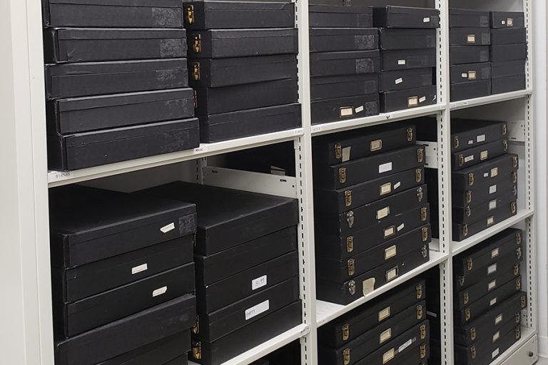 AGH Behind the Scenes: In the Vaults - Art Gallery of Hamilton