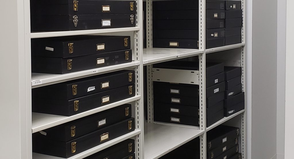 AGH Behind the Scenes: In the Vaults - Art Gallery of Hamilton