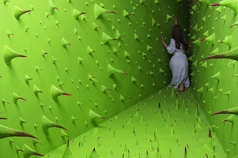 WONDER: the real, the surreal, and the fantastic - Art Gallery of Hamilton