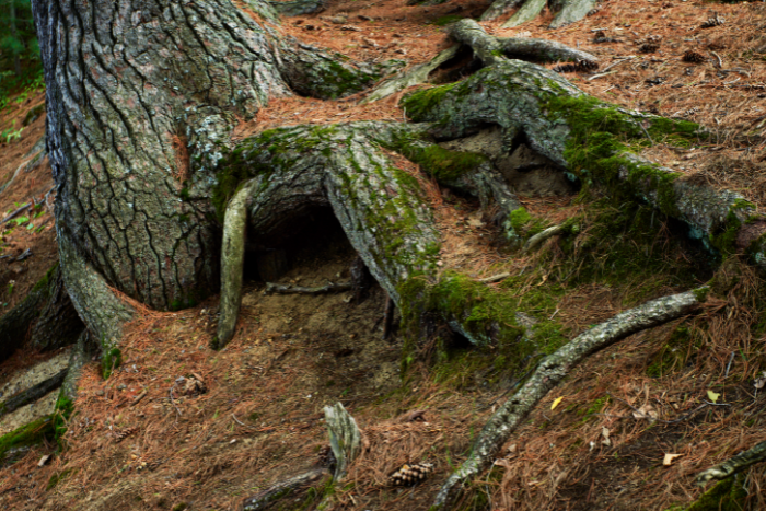 Greg Staats: Runners Continuum - Art Gallery of Hamilton